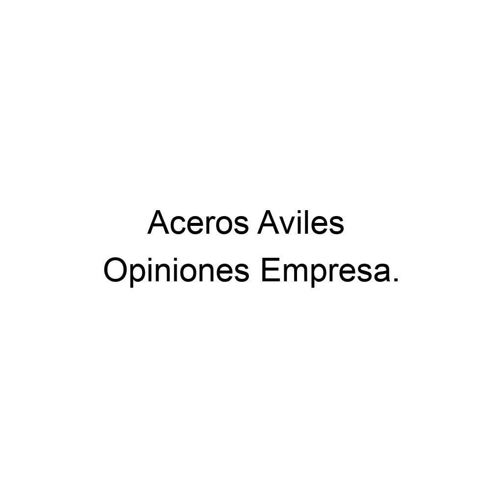 Opiniones Aceros Aviles, 963770184