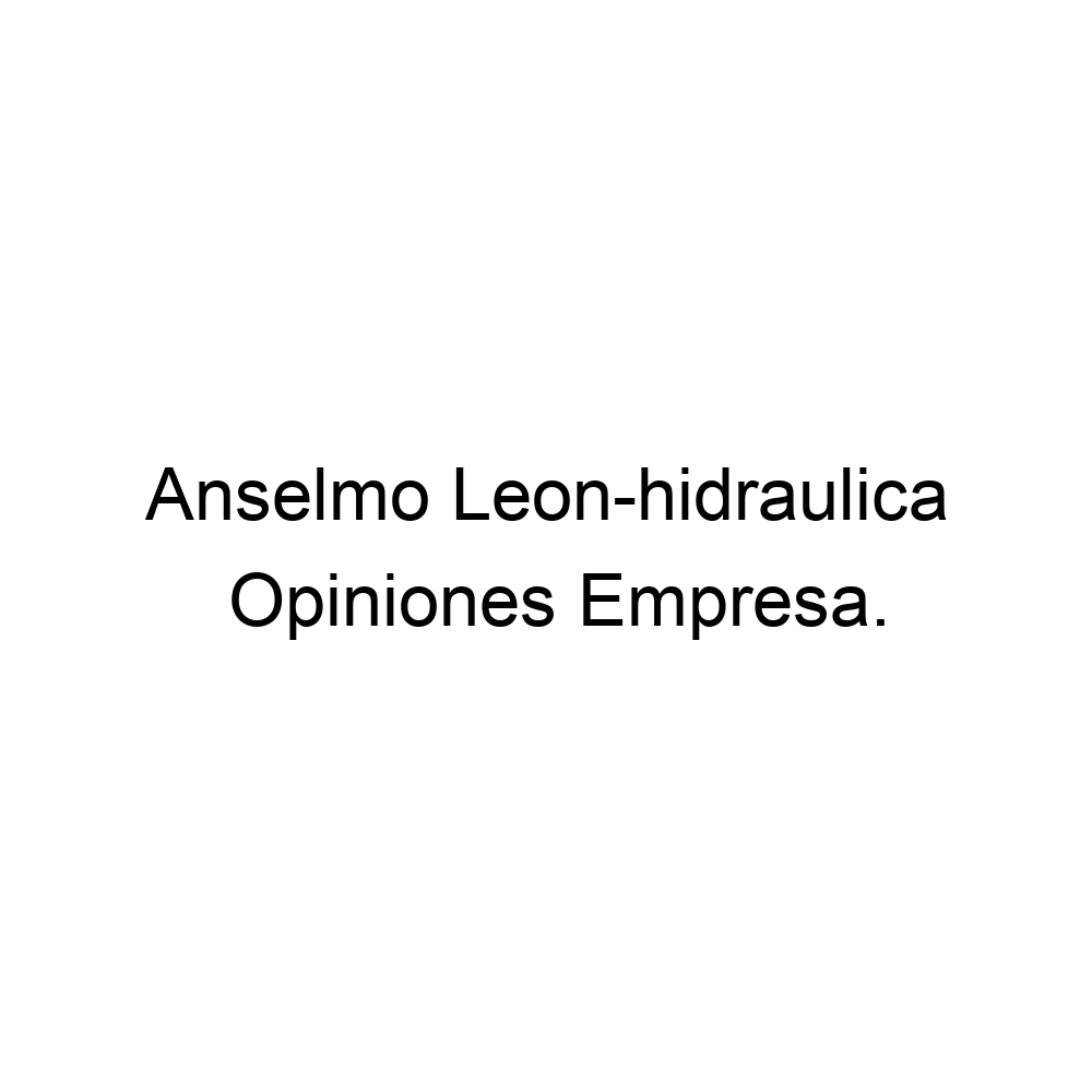 Opiniones Anselmo Leon-hidraulica, 983457327