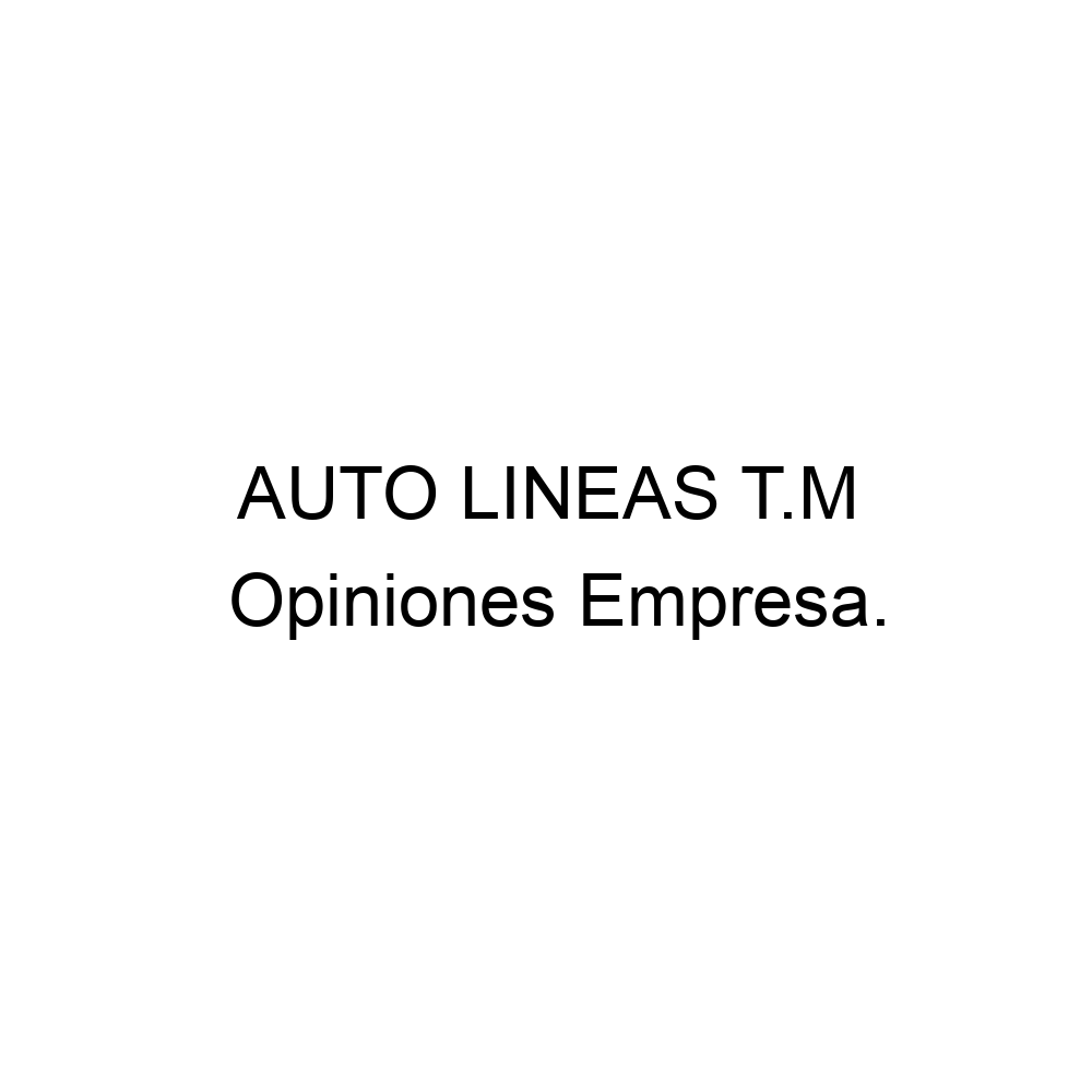 Opiniones AUTO LINEAS T.M, 955903535