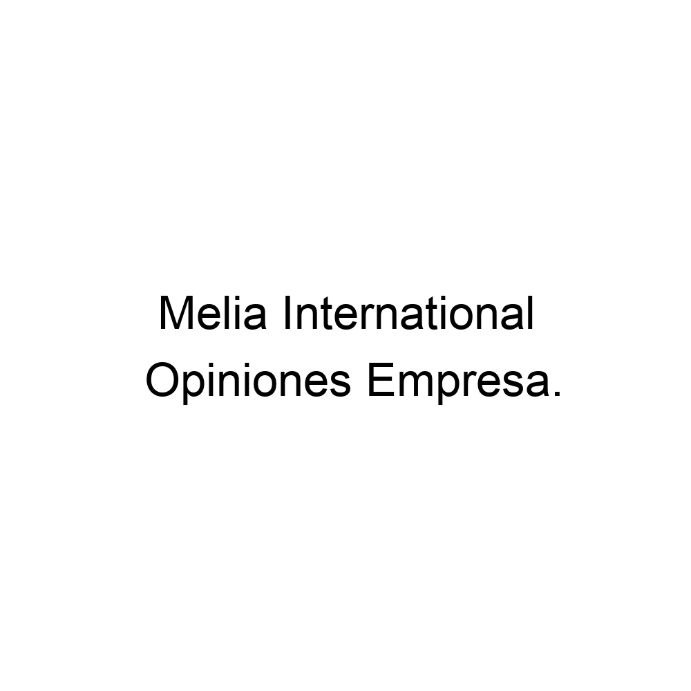 Opiniones Melia International 943260537