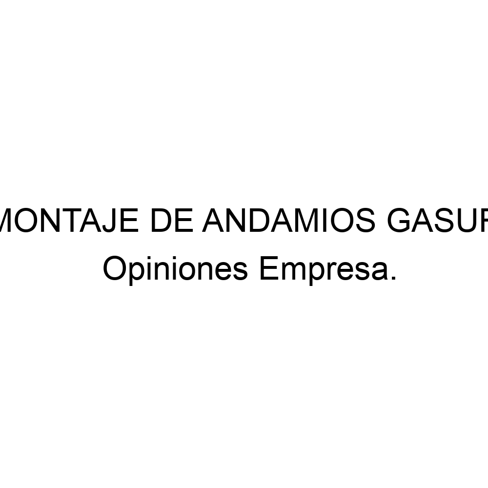 Opiniones MONTAJE DE ANDAMIOS GASUR, 913650646