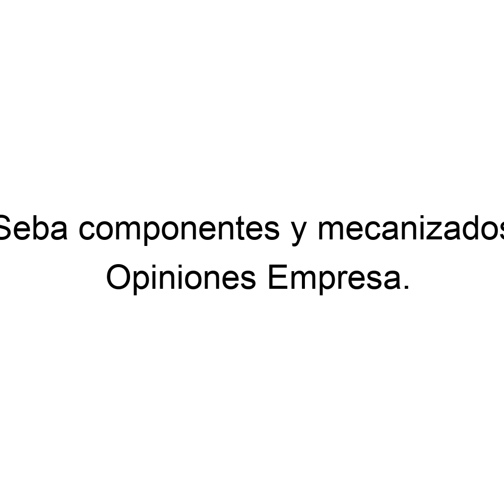 Opiniones Seba componentes y mecanizados, 950325668